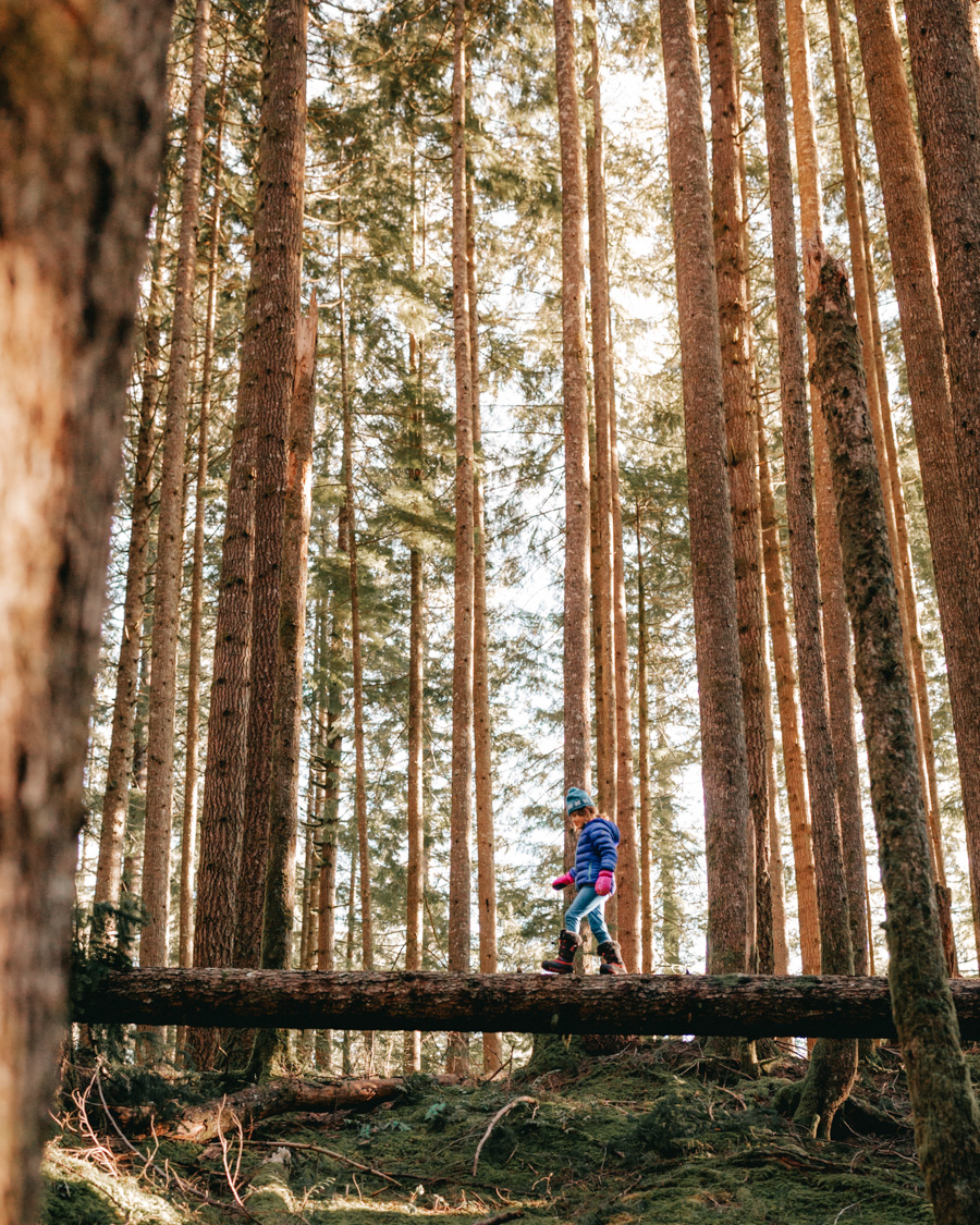 Easy & Scenic Day Hikes Near Seattle for Families and Beginners - The ...