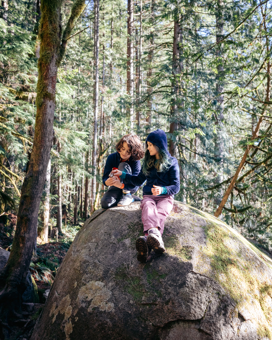Easy & Scenic Day Hikes Near Seattle for Families and Beginners - The ...