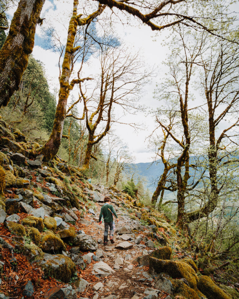 10 Epic Hikes on the Mountain Loop Highway (Washington Trail Guide ...