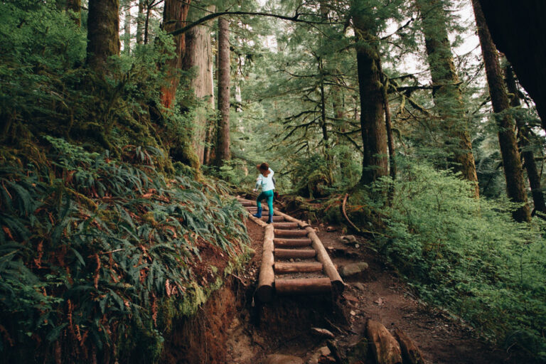 Easy & Scenic Day Hikes Near Seattle for Families and Beginners - The ...