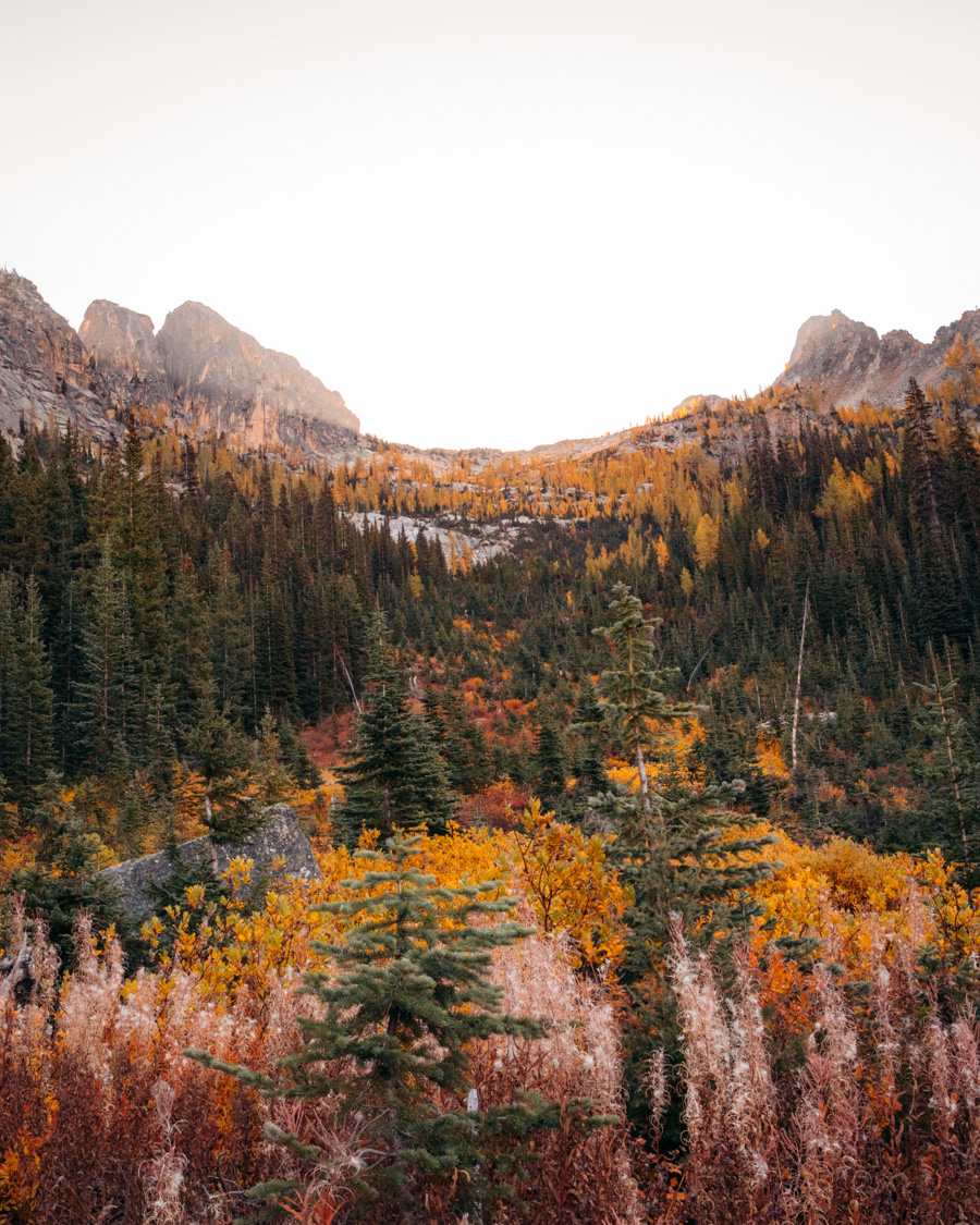 The Ultimate Guide to Washington Fall Hikes (Larch Trails + Autumn ...