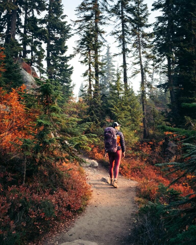 The Ultimate Guide to Washington's Best Fall Hikes (Larch Trails ...