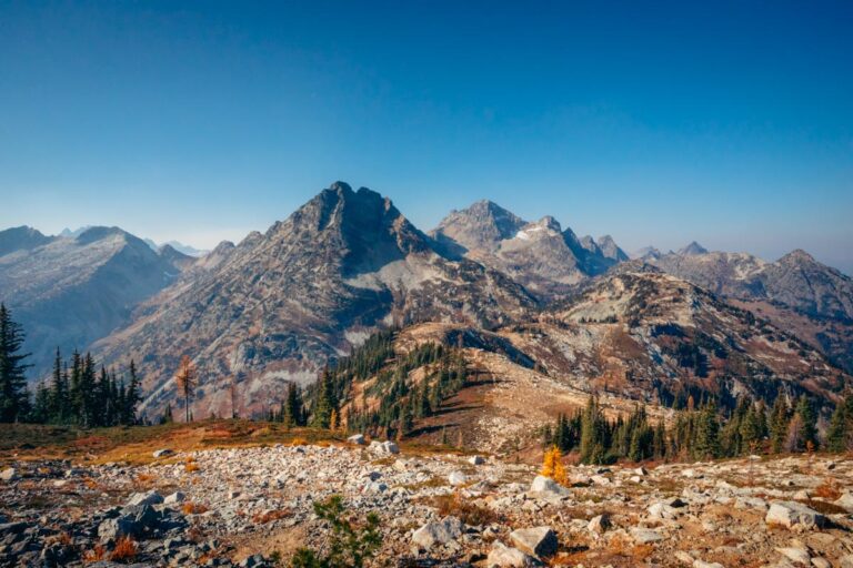 The Ultimate Guide to Washington's Best Fall Hikes (Larch Trails ...