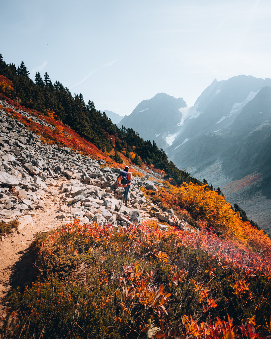 The Ultimate Guide to Washington's Best Fall Hikes (Larch Trails ...