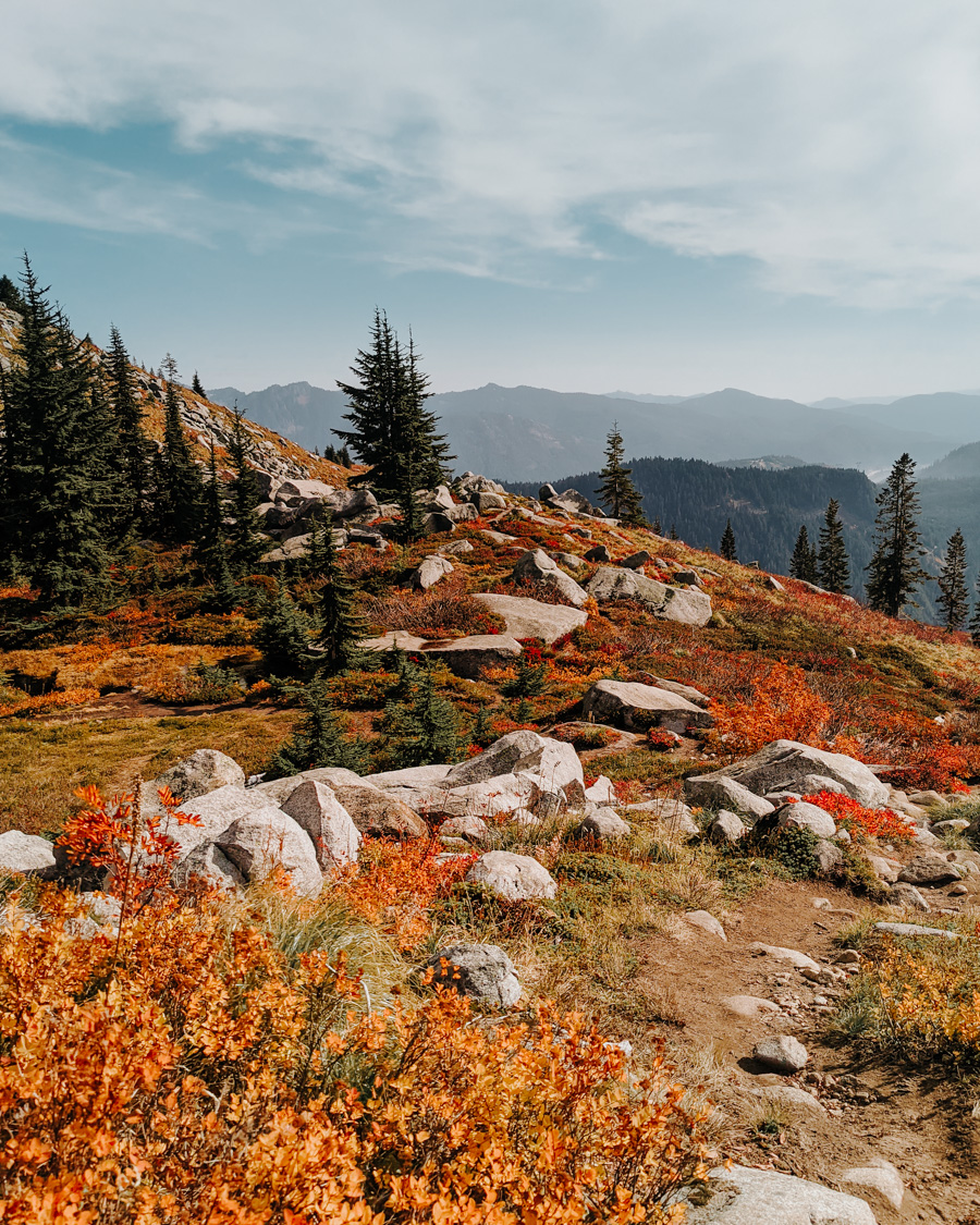 The Ultimate Guide to Washington's Best Fall Hikes (Larch Trails ...
