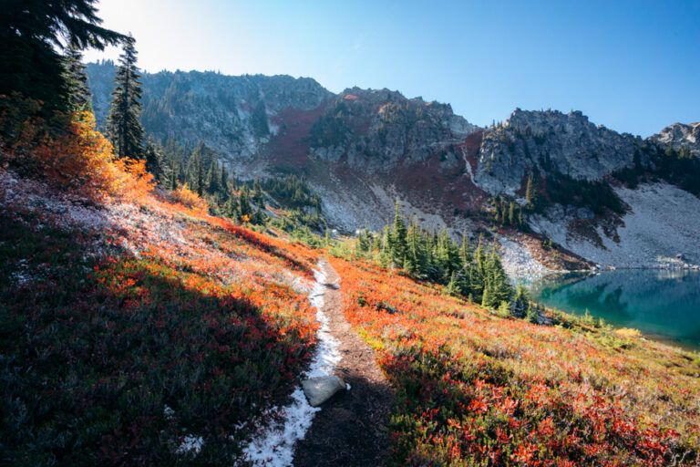 The Ultimate Guide to Washington's Best Fall Hikes (Larch Trails ...