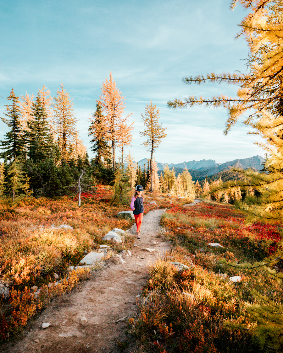 The Ultimate Guide to Washington Fall Hikes (Larch Trails + Autumn ...