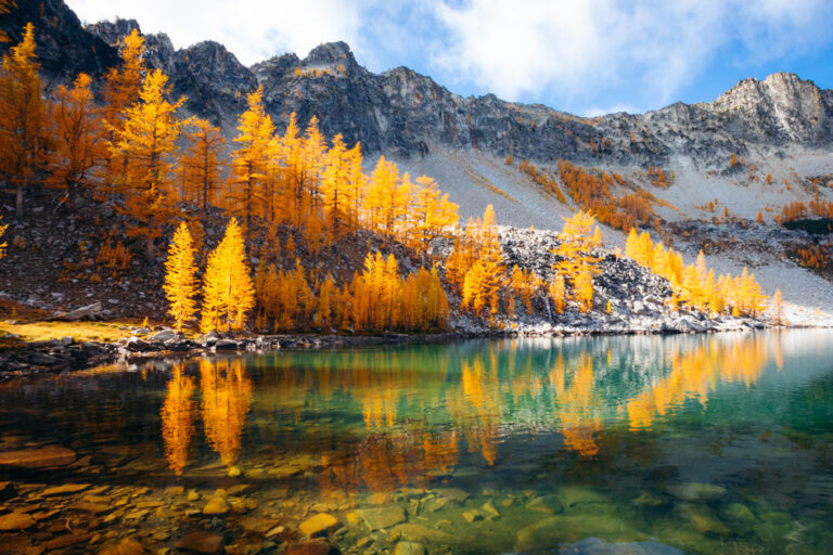 Best Golden Larch Hikes in Washington: When & Where to See Fall Colors ...