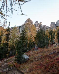 Best Golden Larch Hikes in Washington: When & Where to See Fall Colors ...