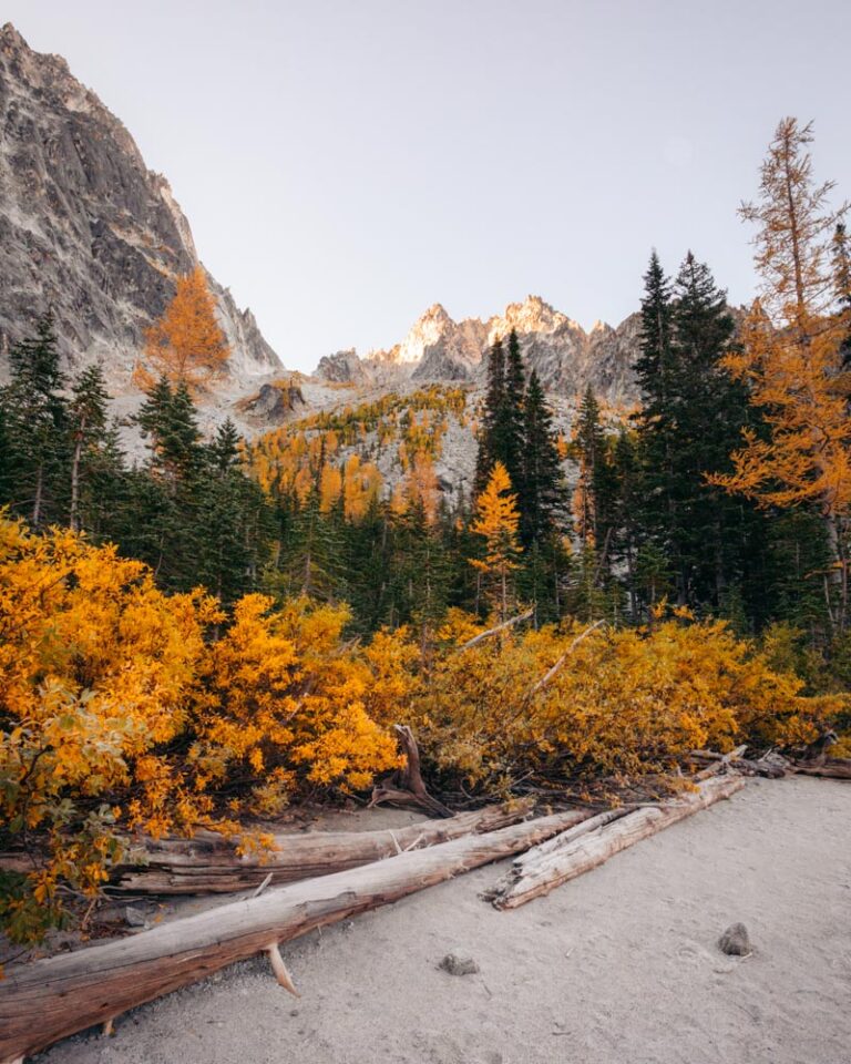 Best Golden Larch Hikes in Washington: When & Where to See Fall Colors ...