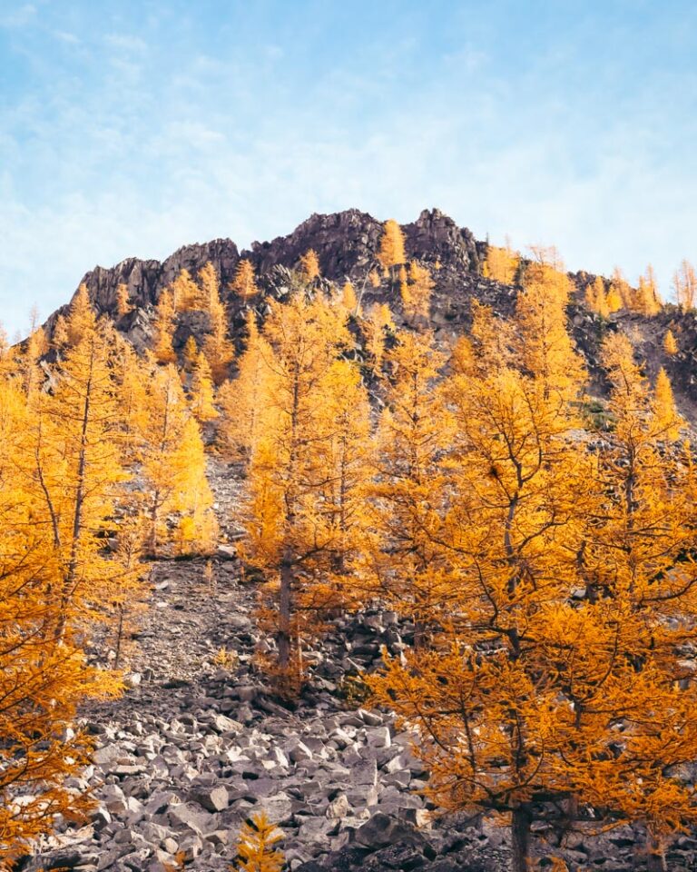 Best Golden Larch Hikes in Washington: When & Where to See Fall Colors ...