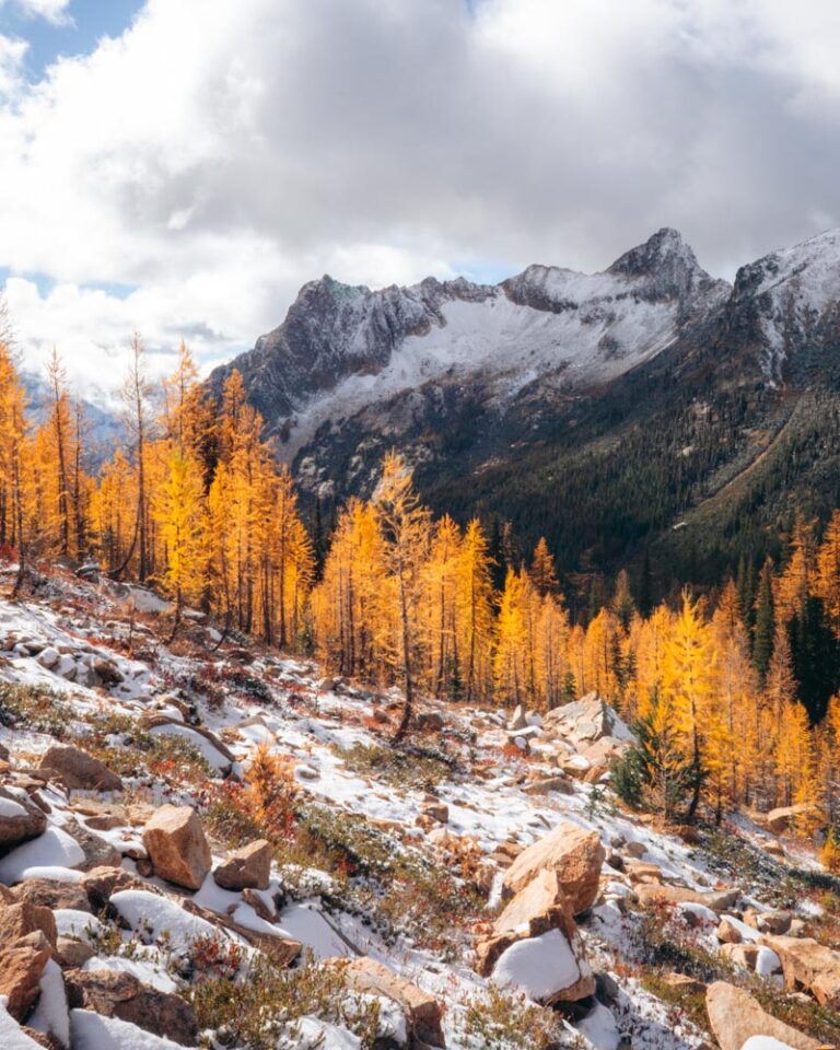 Best Golden Larch Hikes in Washington: When & Where to See Fall Colors ...