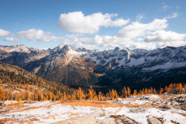 Washington Larch Timing: Historical Windows + How to Pick Your Week ...