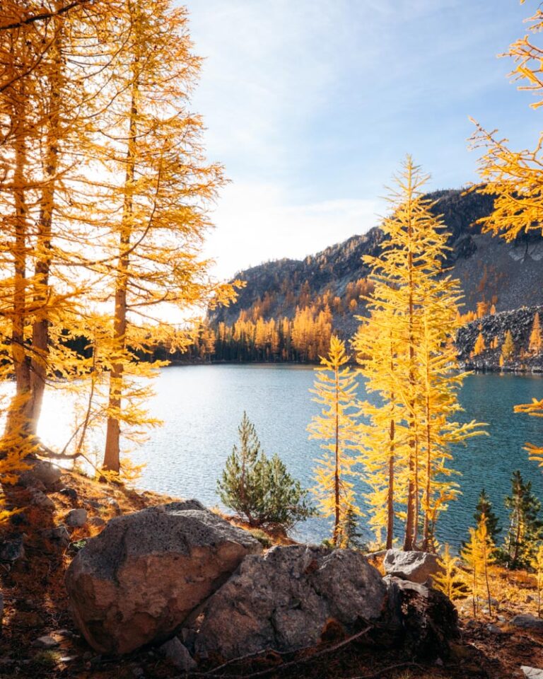 Best Golden Larch Hikes in Washington: When & Where to See Fall Colors ...