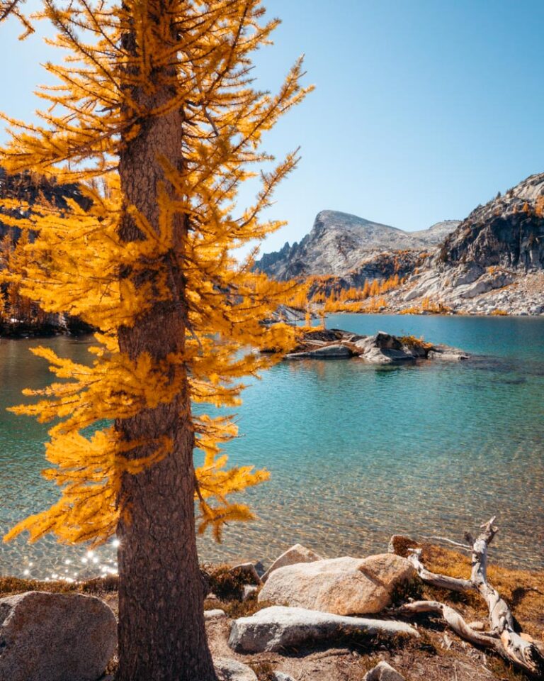 Best Golden Larch Hikes in Washington: When & Where to See Fall Colors ...