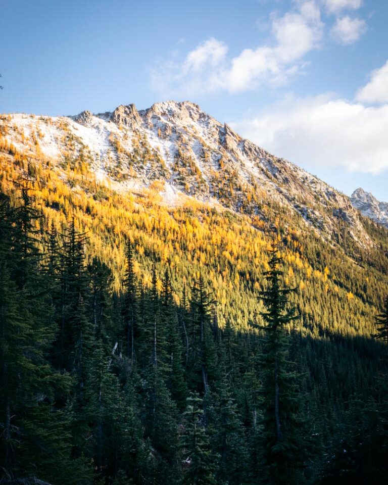 Best Golden Larch Hikes in Washington: When & Where to See Fall Colors ...