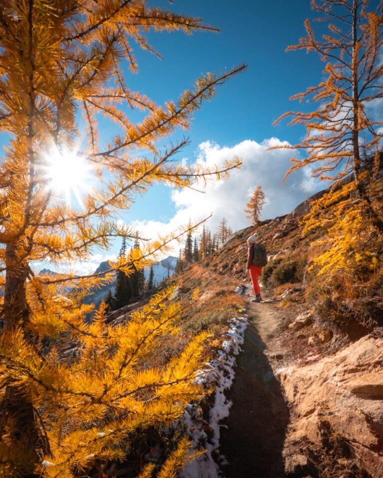 Best Golden Larch Hikes in Washington: When & Where to See Fall Colors ...