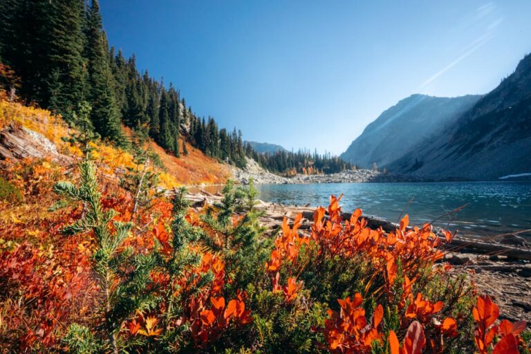 The Ultimate Guide to Washington's Best Fall Hikes (Larch Trails ...