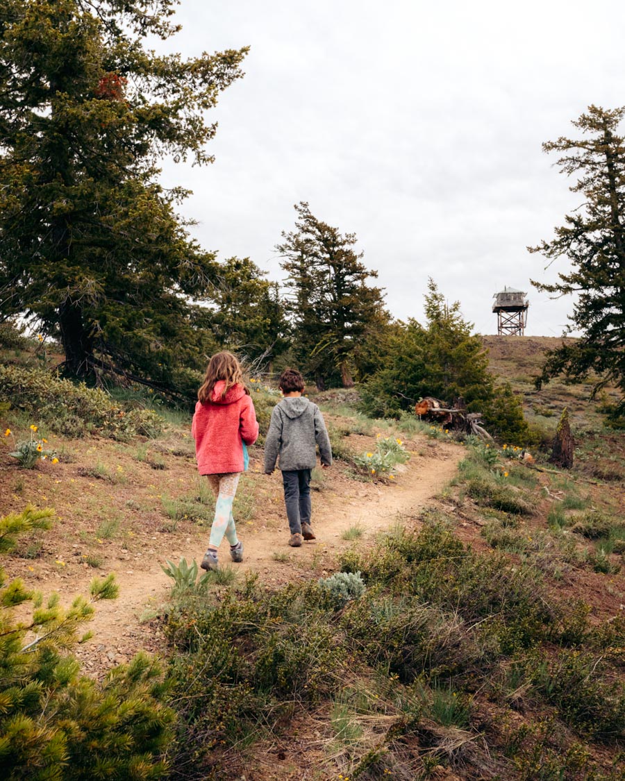 4 AWESOME METHOW VALLEY SPRING WILDFLOWER HIKES - The Trekking Mama