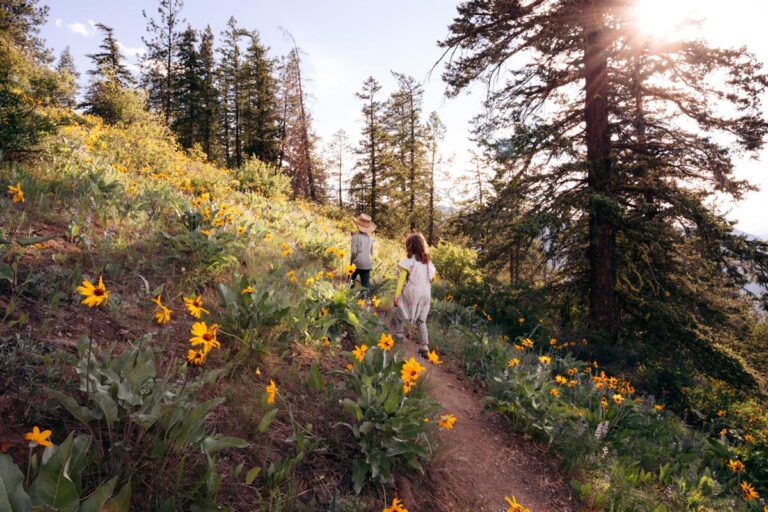 4 AWESOME METHOW VALLEY SPRING WILDFLOWER HIKES