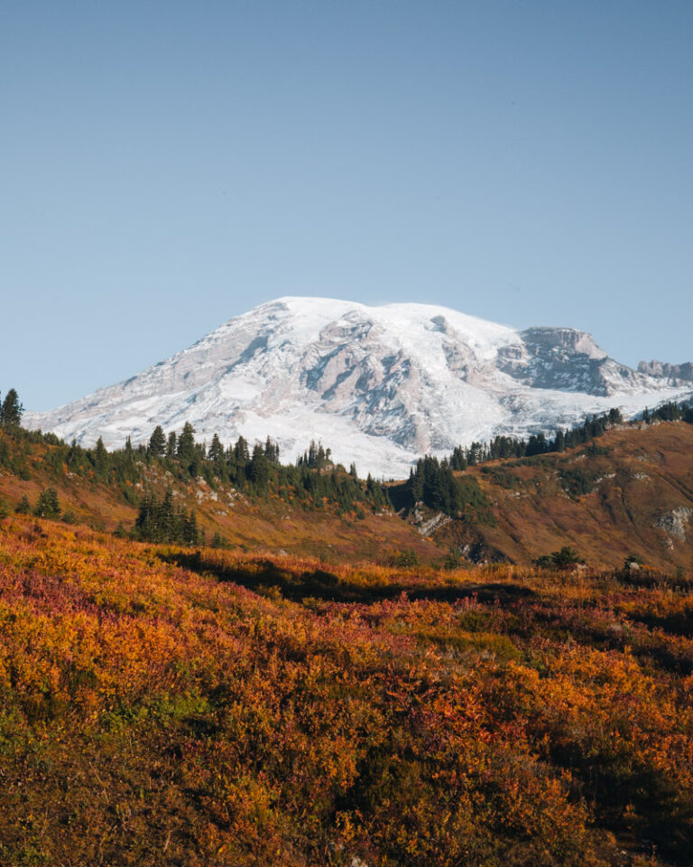 Best Hikes in Mount Rainier National Park: Local's Complete Guide