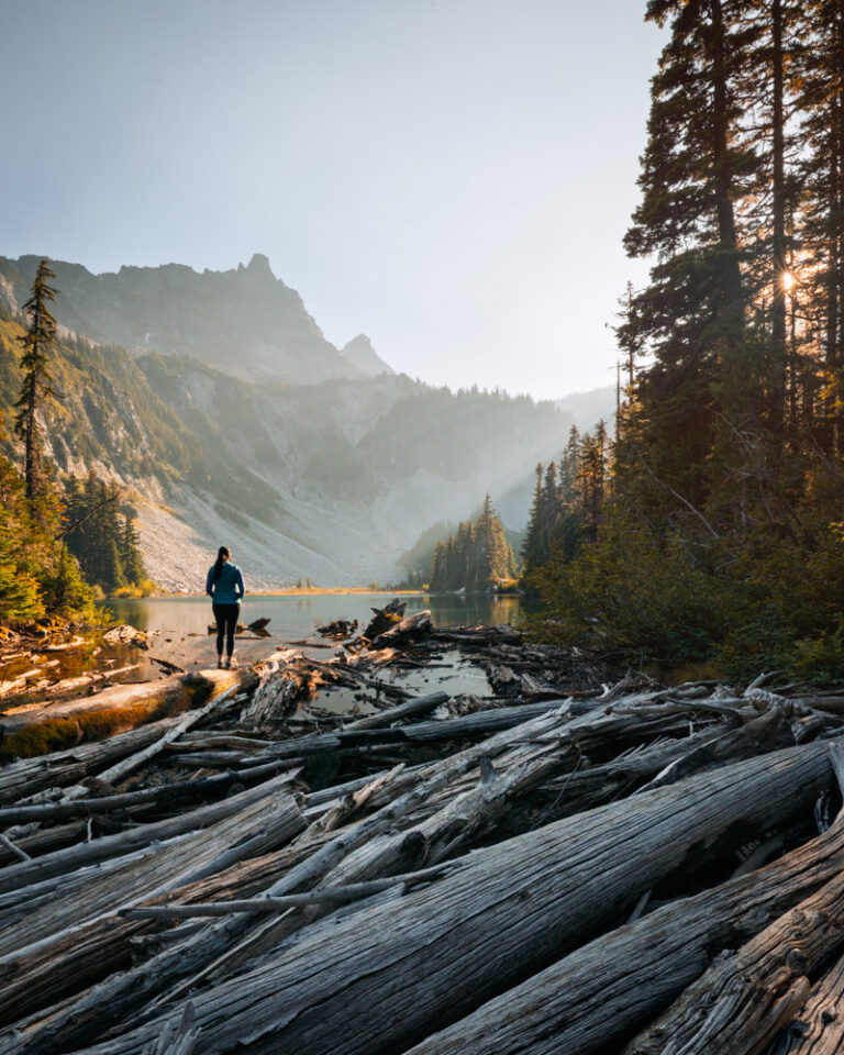 Best Hikes in Mount Rainier National Park: Local's Complete Guide