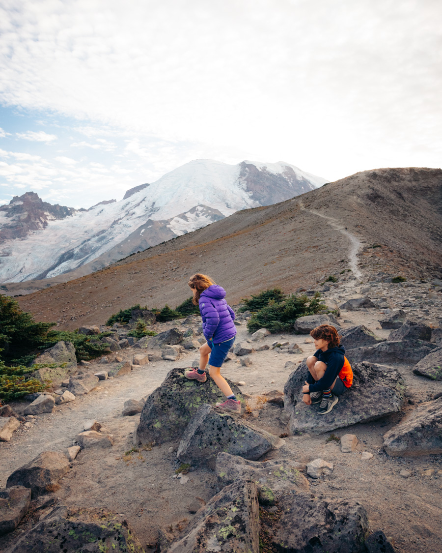 Mount Rainier Hiking Guide: Best Hikes, Planning Tips & Seasons