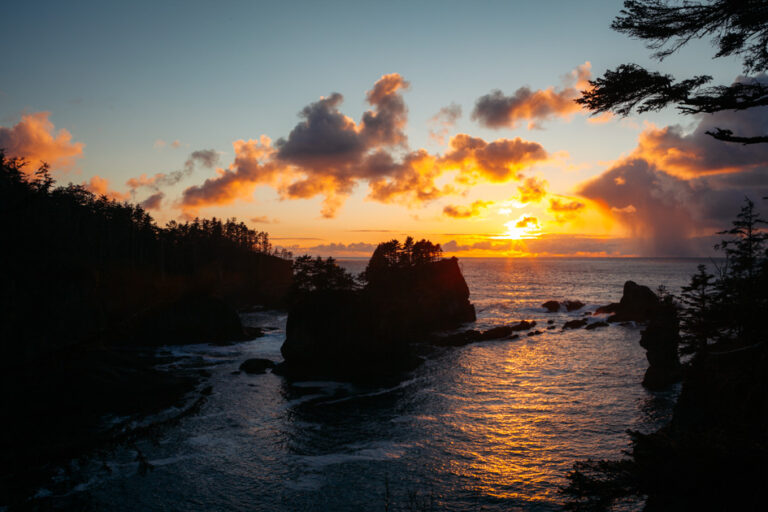 17 Best Easy Winter Hikes in Washington State (Family-Friendly ...