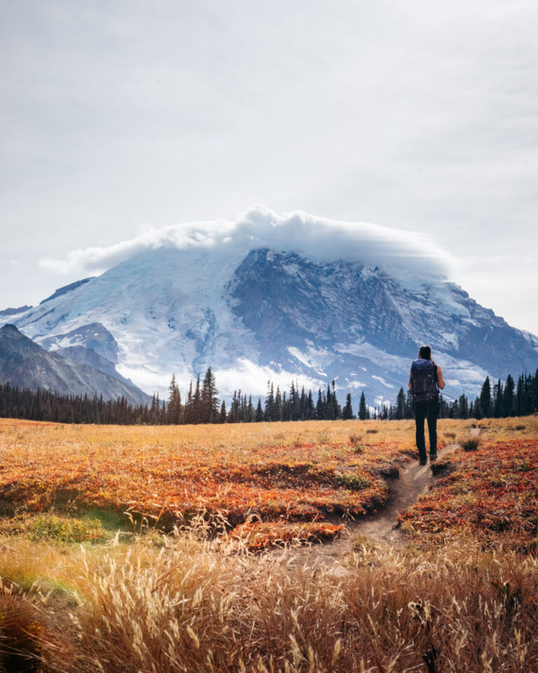 Mount Rainier Hiking Guide: Best Hikes, Planning Tips & Seasons