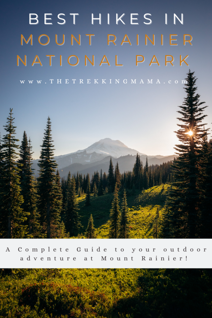 15 Best Mt Rainier Hikes & Trails: Complete Guide 2025 - The Trekking Mama
