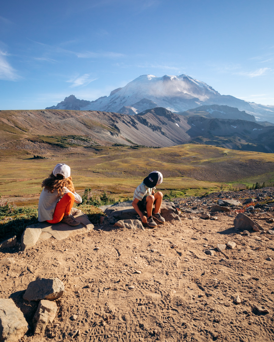 Mount Rainier Hiking Guide: Best Hikes, Planning Tips & Seasons