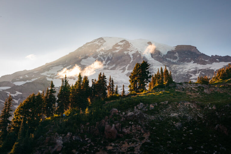 Mount Rainier Hiking Guide: Best Hikes, Planning Tips & Seasons