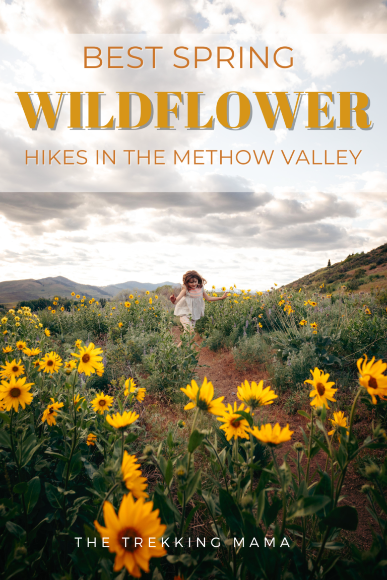 4 AWESOME METHOW VALLEY SPRING WILDFLOWER HIKES - The Trekking Mama