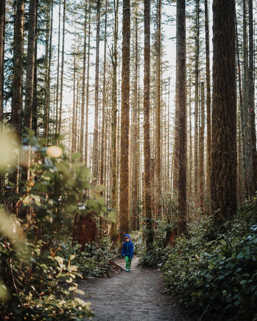 Easy & Scenic Day Hikes Near Seattle for Families and Beginners - The ...