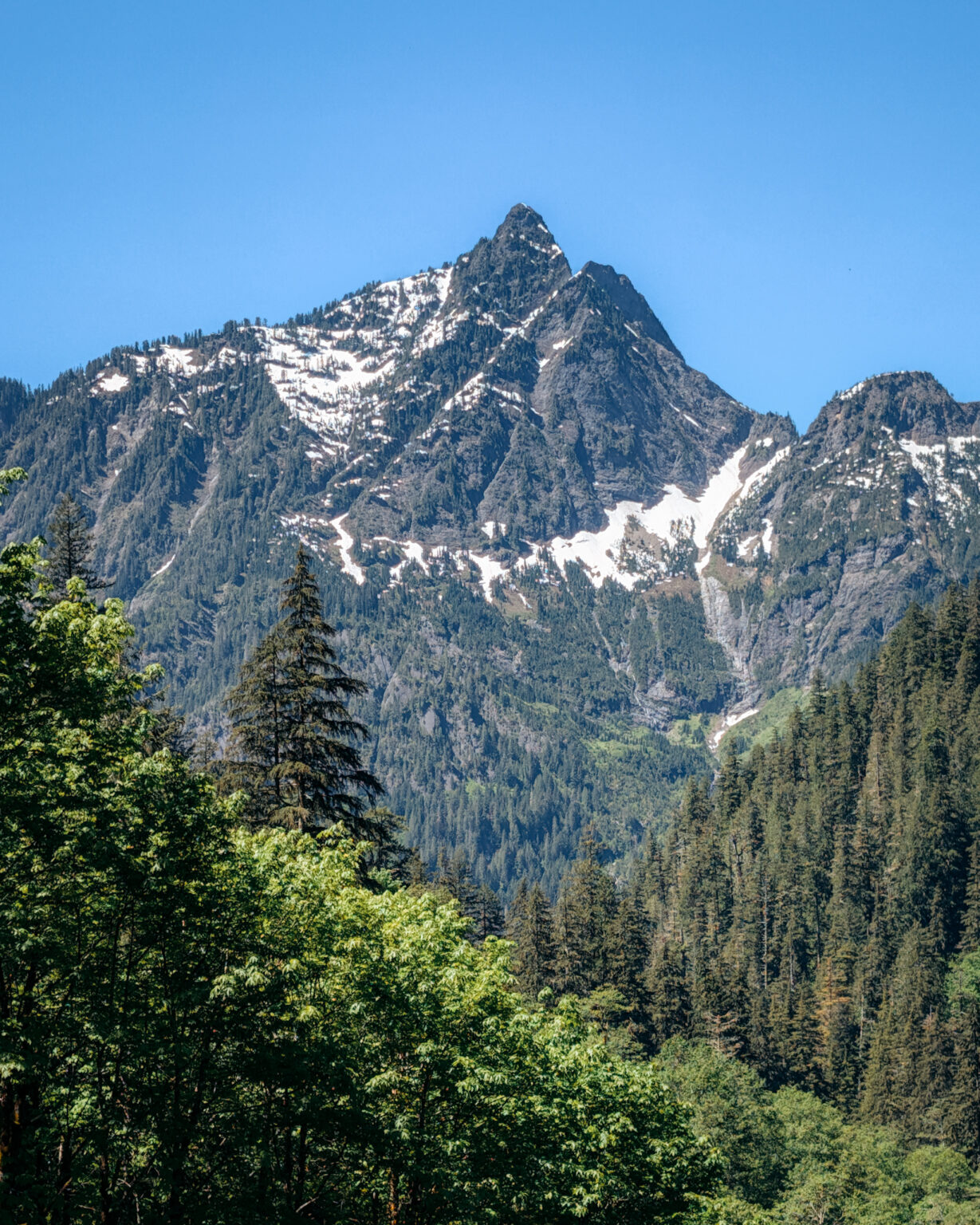 11 Epic Hikes on the Mountain Loop Highway (Washington Trail Guide ...