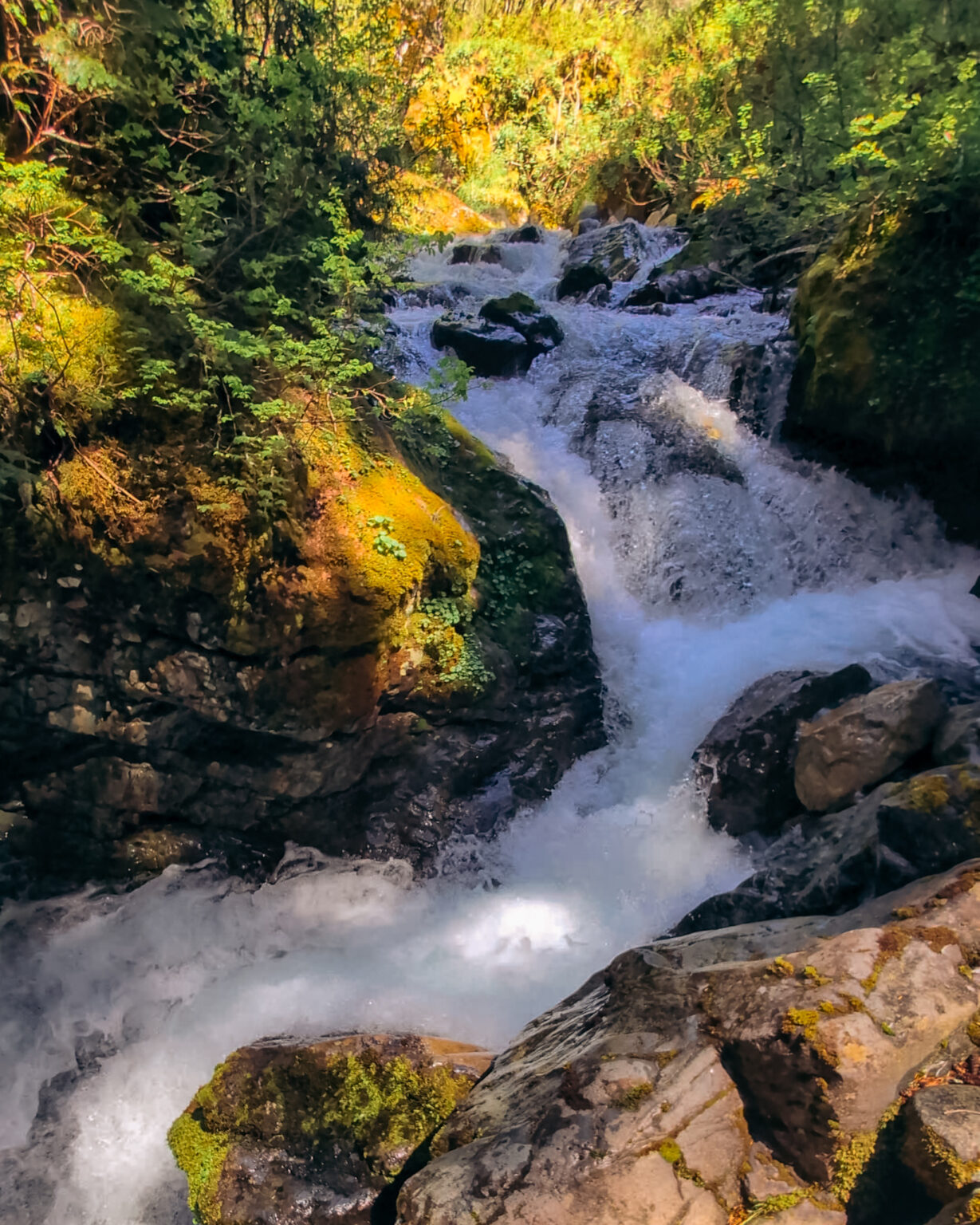 11 Epic Hikes on the Mountain Loop Highway (Washington Trail Guide ...