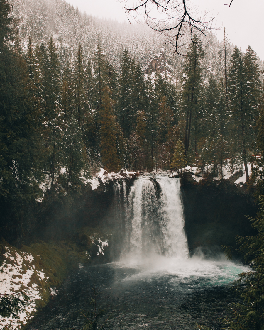12 Best Oregon Waterfall Hikes: Complete Guide to Spring's Most ...