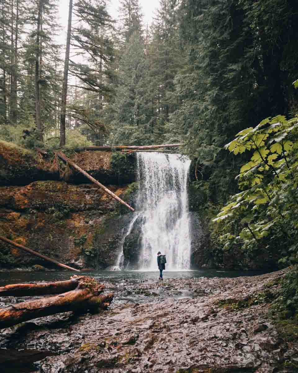 Best Oregon Waterfall Hikes: Silver Falls, Toketee + More
