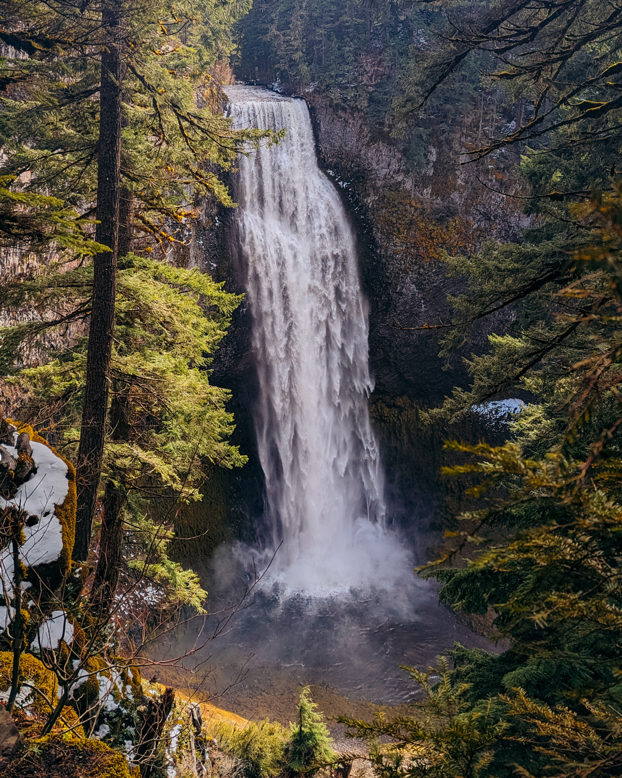 Best Oregon Waterfall Hikes: Silver Falls, Toketee + More