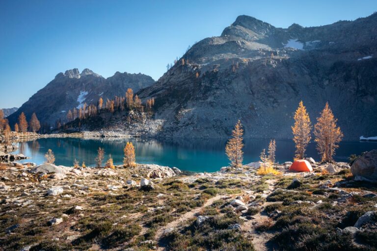 Washington Larch Timing: Historical Windows + How to Pick Your Week ...