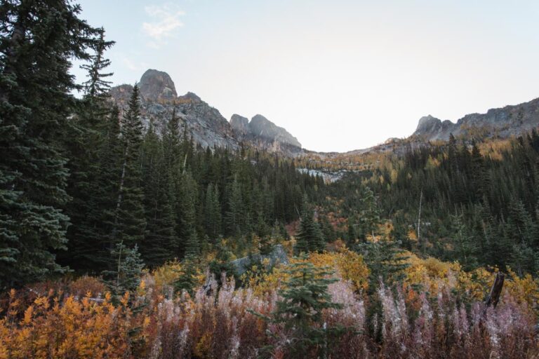 Blue Lake Trail Guide: Stunning in Summer, Glowing with Larches in Fall ...