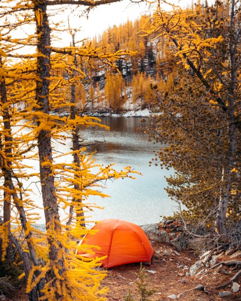 Washington Larch Timing: Historical Windows + How to Pick Your Week ...