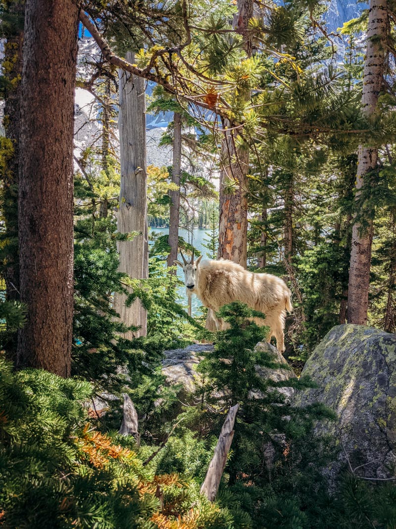 Thru-Hiking the Enchantments: Complete Guide to Washington's Most ...