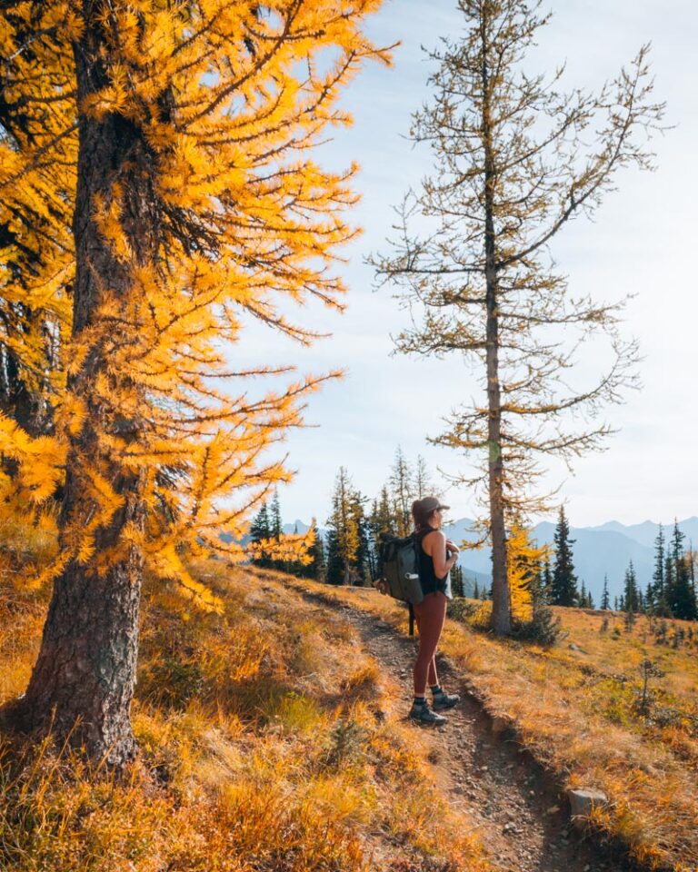 North Cascades Fall Larch Season Itinerary: 3 Days Among Golden Needles ...
