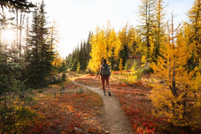 A Weekend at Colonial Creek Campground in the North Cascades - The ...