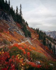 Best Golden Larch Hikes in Washington: When & Where to See Fall Colors ...