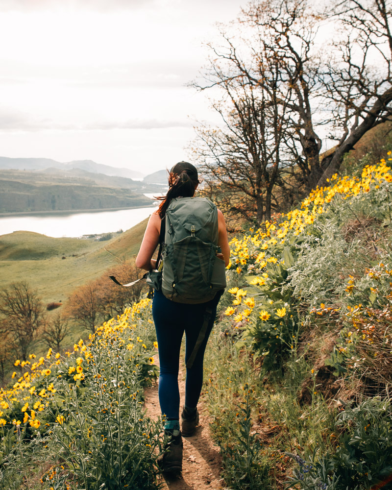 Best Spring Wildflower Hikes in the Columbia River Gorge - The Trekking ...