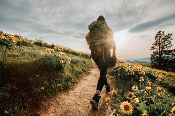 Best Spring Wildflower Hikes in the Columbia River Gorge - The Trekking ...